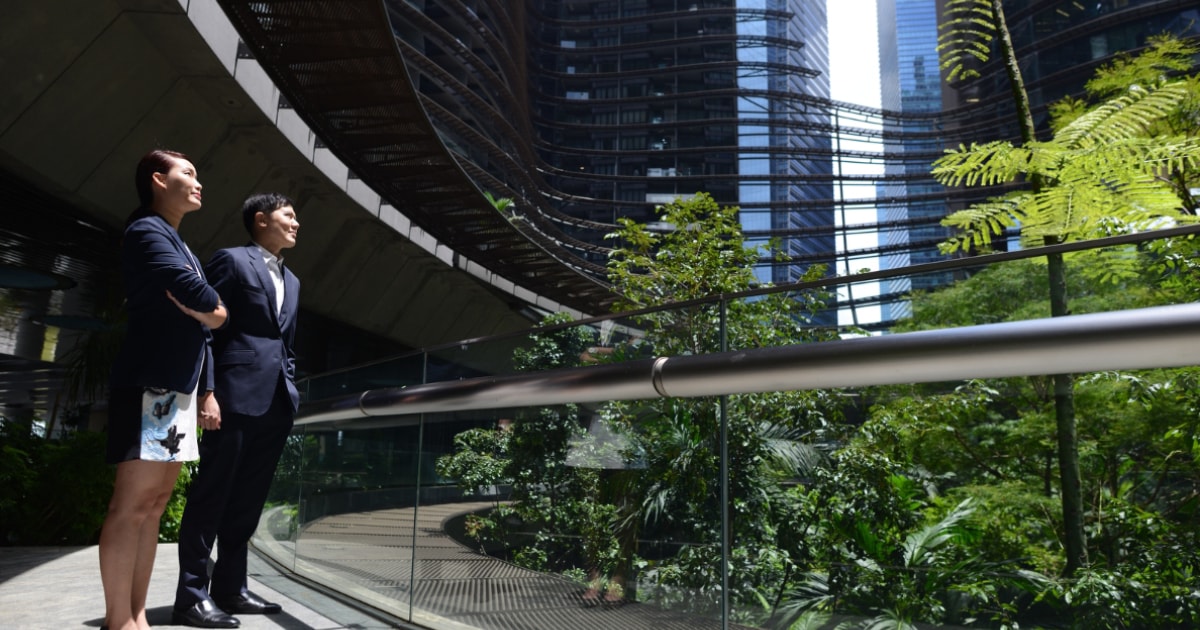 Corporate Governance - Temasek