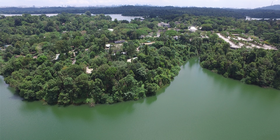 Temasek and Mandai Park Holdings establish Mandai Nature to help ...