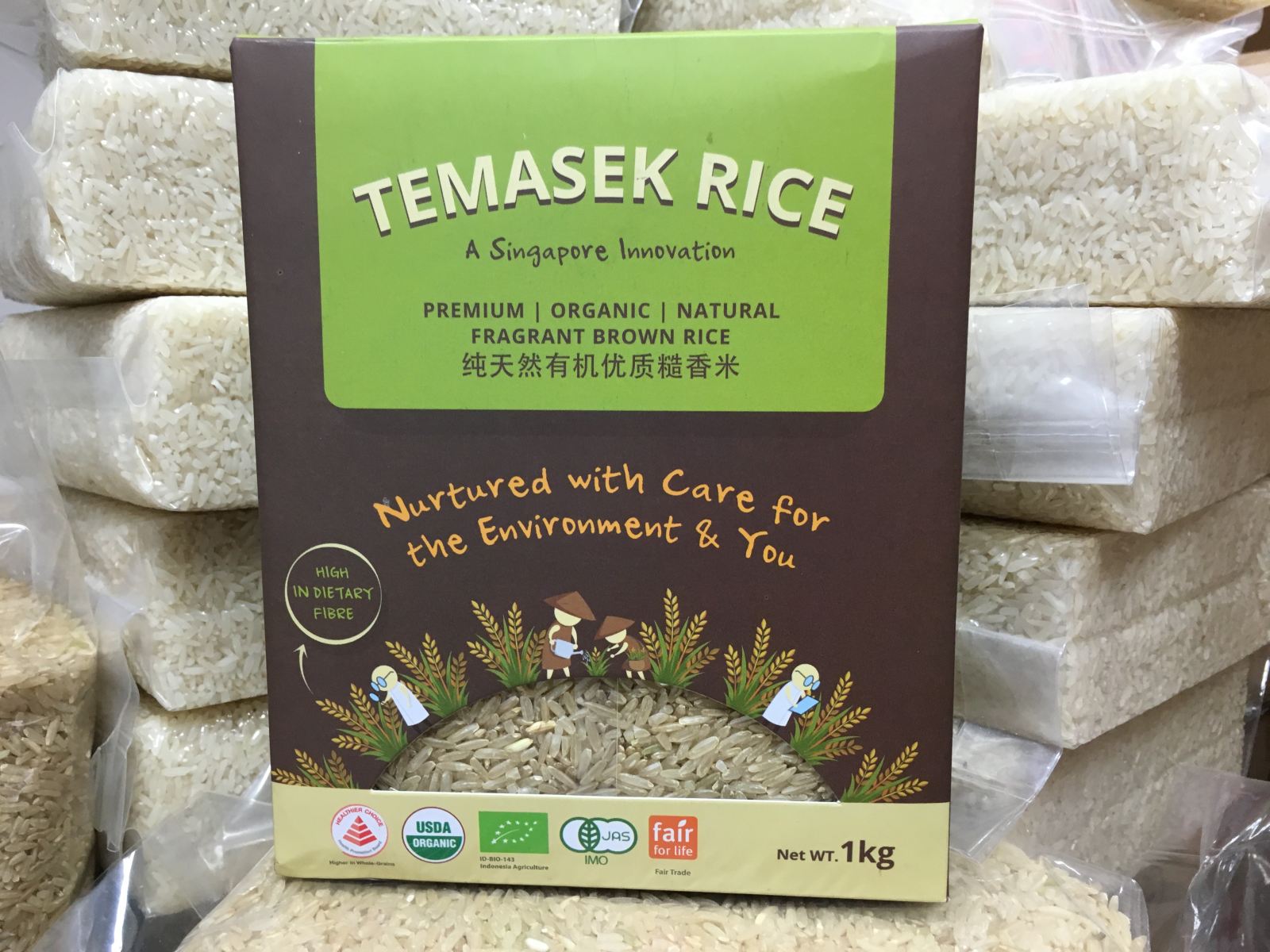 Temasek Rice: A More Resilient Rice Variety to Enhance Our Food ...