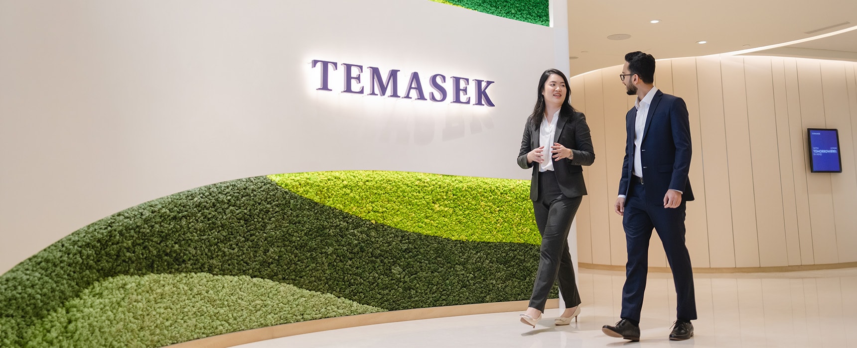 Our Entities - Temasek